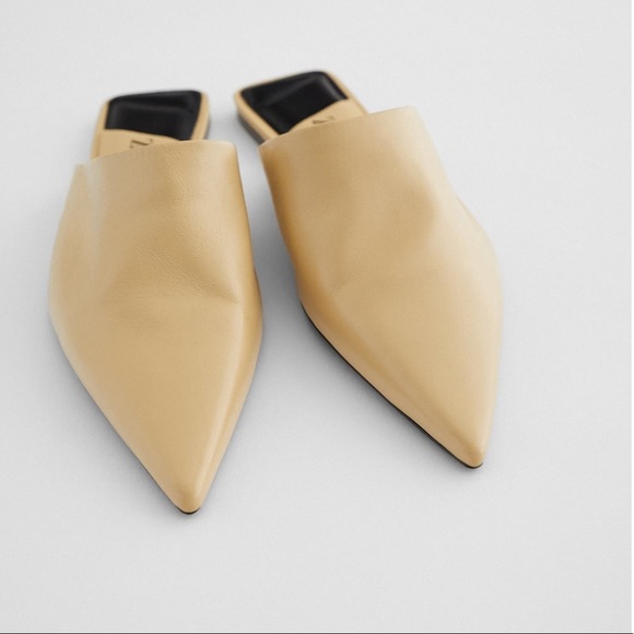 Zara | Shoes | Nwt Zara Low Heeled Pointed Toe Leather Mules | Poshmark